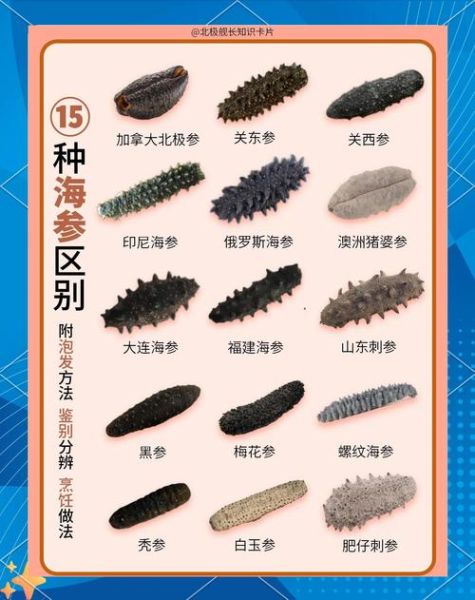 什么海参营养价值最高_海参品种怎么选-第1张图片-山城妙识