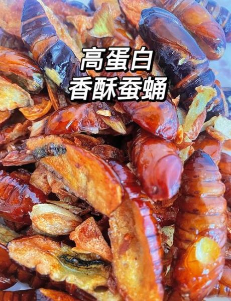 东北蚕蛹是什么的幼虫_东北蚕蛹怎么做好吃-第1张图片-山城妙识