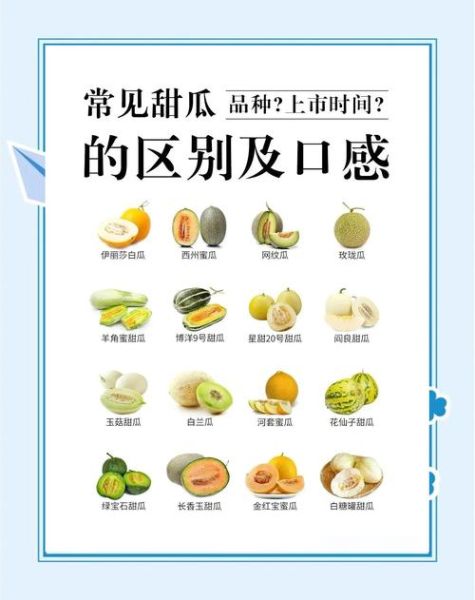 甜瓜是热性还是凉性_甜瓜吃多了会上火吗-第2张图片-山城妙识