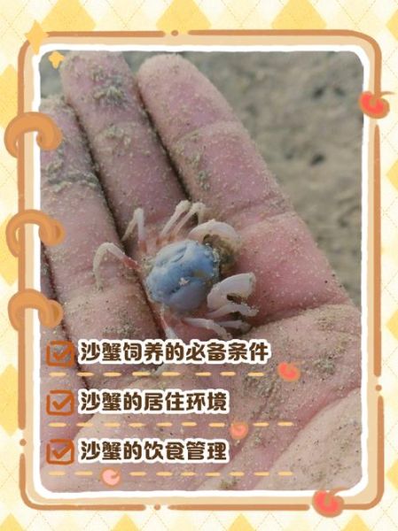 哪些沙蟹有毒_沙蟹毒性排行-第2张图片-山城妙识 哪些沙蟹有毒_沙蟹毒性排行-第2张图片-山城妙识