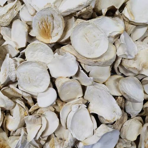 白灵菇图片_如何挑选新鲜白灵菇-第1张图片-山城妙识 白灵菇图片_如何挑选新鲜白灵菇-第1张图片-山城妙识