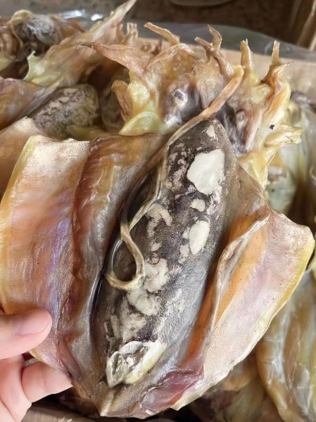 墨鱼干怎么泡发_墨鱼干泡发多久-第1张图片-山城妙识 墨鱼干怎么泡发_墨鱼干泡发多久-第1张图片-山城妙识