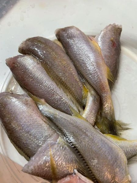 炸小黄花鱼怎么做_炸小黄花鱼酥脆不掉皮-第2张图片-山城妙识 炸小黄花鱼怎么做_炸小黄花鱼酥脆不掉皮-第2张图片-山城妙识