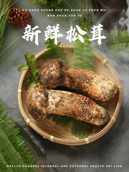 野生松茸多少钱一斤_如何辨别真假野生松茸-第2张图片-山城妙识
