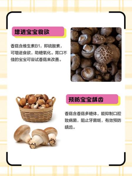 香菇的营养价值_吃香菇能补什么-第3张图片-山城妙识 香菇的营养价值_吃香菇能补什么-第3张图片-山城妙识