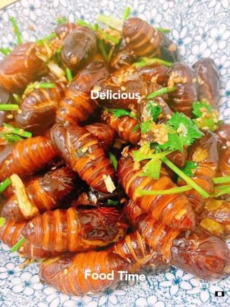 干煸蚕蛹怎么做好吃_家常干煸蚕蛹做法大全-第2张图片-山城妙识 干煸蚕蛹怎么做好吃_家常干煸蚕蛹做法大全-第2张图片-山城妙识