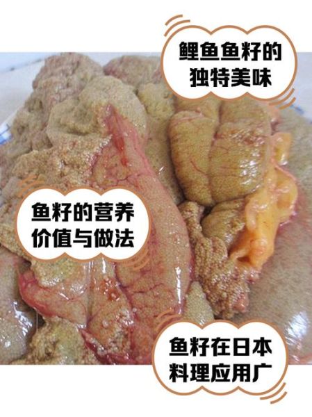鲤鱼鱼籽的营养价值_孕妇能吃吗-第2张图片-山城妙识 鲤鱼鱼籽的营养价值_孕妇能吃吗-第2张图片-山城妙识
