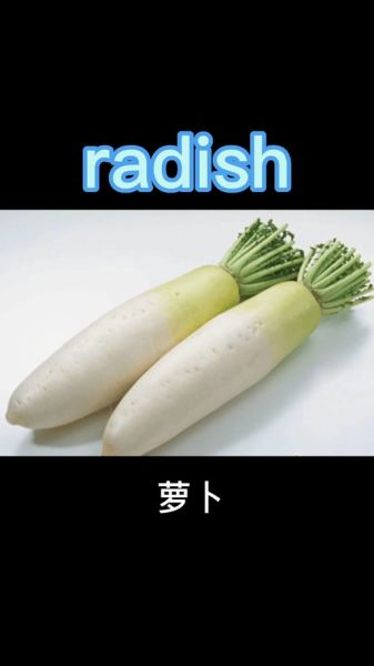 萝卜的拼音怎么写_萝卜拼音声调是几声-第1张图片-山城妙识