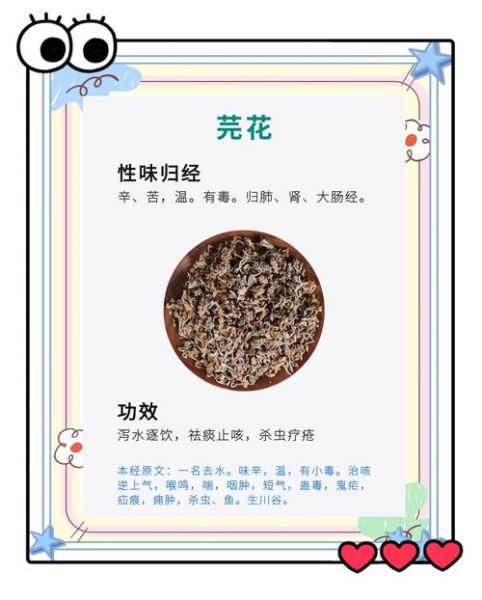 香花菜的功效与禁忌_孕妇能吃吗-第3张图片-山城妙识 香花菜的功效与禁忌_孕妇能吃吗-第3张图片-山城妙识