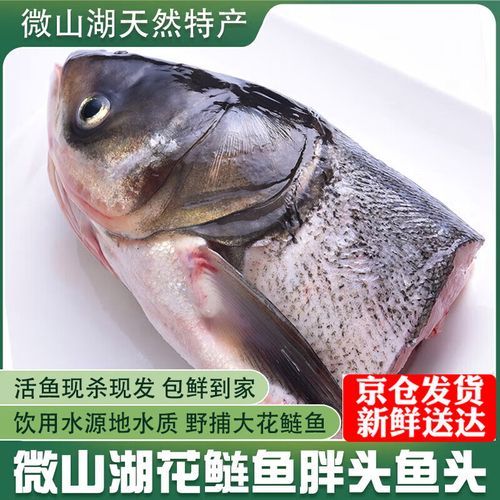 胖头鱼头怎么做好吃_胖头鱼头视频教程-第3张图片-山城妙识 胖头鱼头怎么做好吃_胖头鱼头视频教程-第3张图片-山城妙识