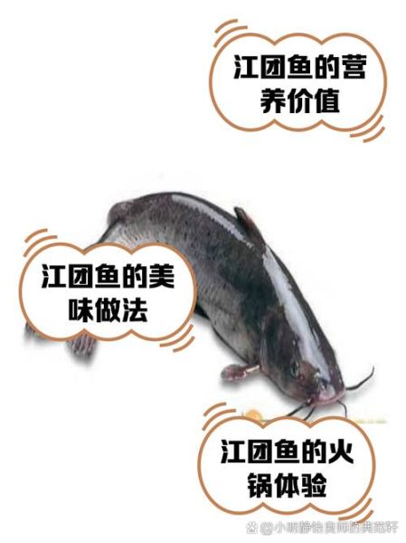 江团鱼的营养价值_江团鱼的功效与作用-第1张图片-山城妙识