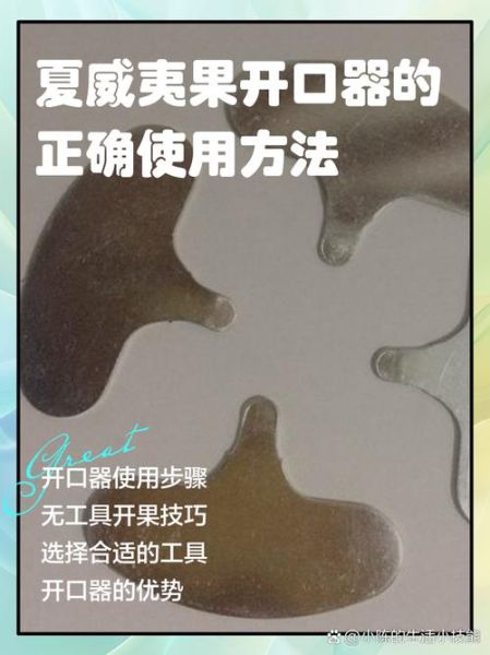 夏威夷果怎么打开_夏威夷果开壳技巧-第1张图片-山城妙识 夏威夷果怎么打开_夏威夷果开壳技巧-第1张图片-山城妙识