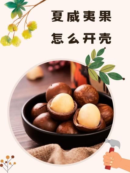 夏威夷果怎么打开_夏威夷果开壳技巧-第3张图片-山城妙识 夏威夷果怎么打开_夏威夷果开壳技巧-第3张图片-山城妙识