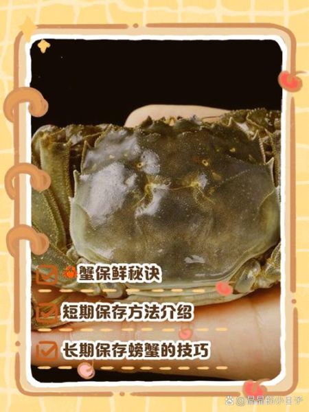 螃蟹当天不吃怎么放到第二天_活蟹隔夜保存方法-第2张图片-山城妙识