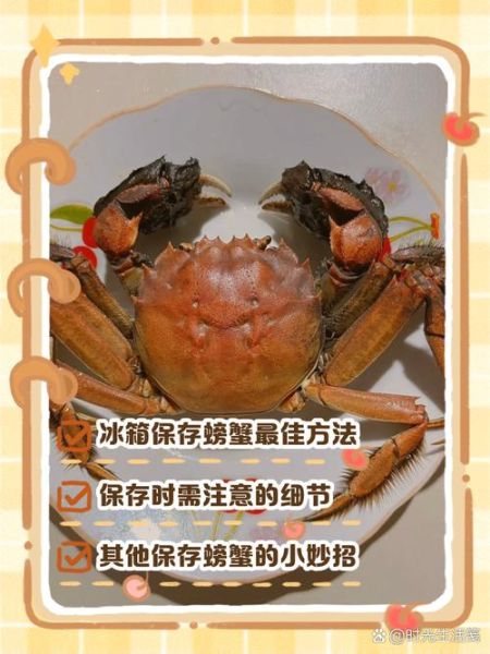 螃蟹怎么保存才能新鲜_活蟹放冰箱能活几天-第3张图片-山城妙识 螃蟹怎么保存才能新鲜_活蟹放冰箱能活几天-第3张图片-山城妙识