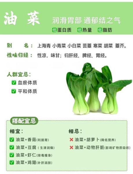 油菜的作用与功效_油菜怎么吃最健康-第1张图片-山城妙识