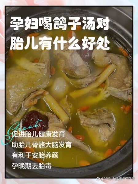 孕妇能喝鸽子汤吗初期_孕早期喝鸽子汤安全吗-第3张图片-山城妙识