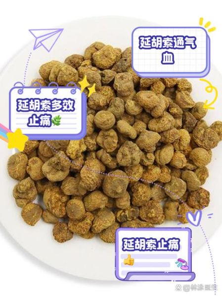 延胡索的功效与作用及用量_延胡索一天吃多少克-第1张图片-山城妙识