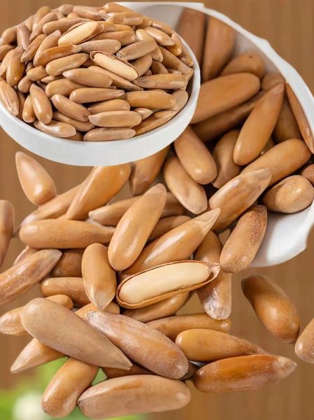 吃松子会发胖吗_松子热量高吗-第2张图片-山城妙识