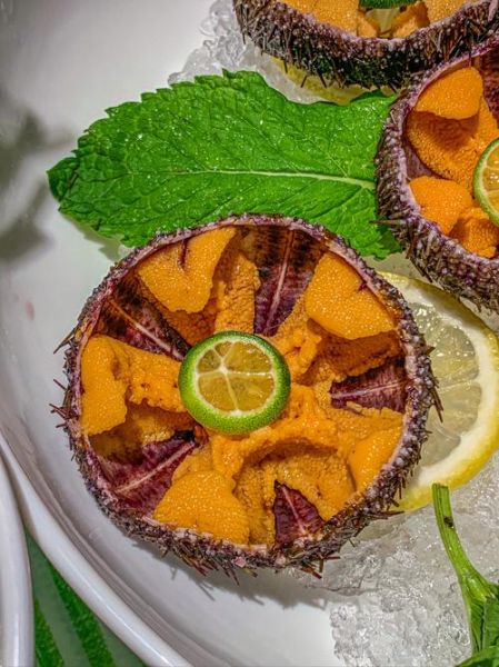 野生海胆多少钱一斤_怎么挑选最新鲜-第1张图片-山城妙识