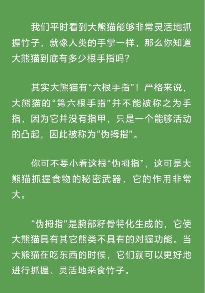 熊掌怎么吃有营养_熊掌营养价值高吗-第3张图片-山城妙识