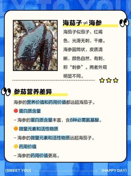 海茄子有什么营养价值_海茄子和海参区别-第1张图片-山城妙识