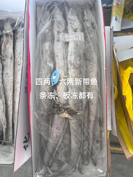 带鱼价格是多少钱一斤_2024年最新行情-第2张图片-山城妙识