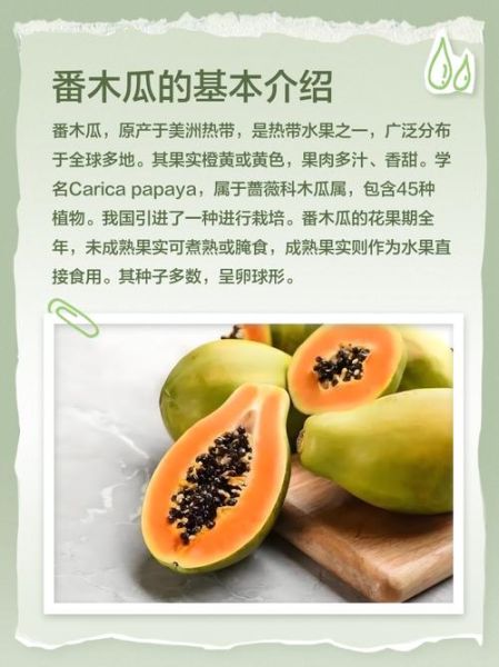 番木瓜和木瓜的区别_哪个更营养-第1张图片-山城妙识 番木瓜和木瓜的区别_哪个更营养-第1张图片-山城妙识