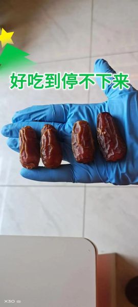 伊拉克椰枣图片_椰枣真假怎么辨别-第1张图片-山城妙识