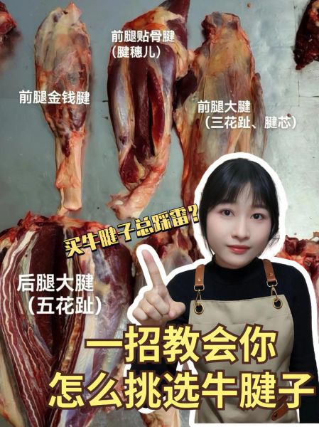 牛腱子是牛的哪个部位_怎么区分前后腱-第3张图片-山城妙识