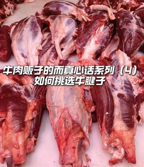 牛腱子是牛的哪个部位_怎么区分前后腱-第1张图片-山城妙识