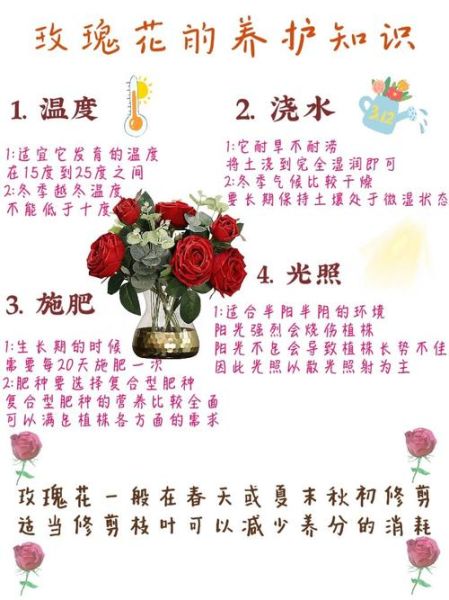 玫瑰花怎么养_玫瑰花语有哪些含义-第1张图片-山城妙识 玫瑰花怎么养_玫瑰花语有哪些含义-第1张图片-山城妙识