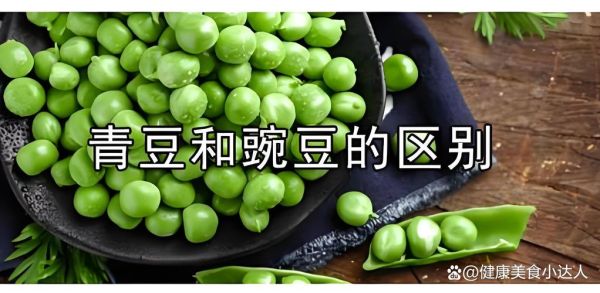 青豆是豌豆吗_青豆和豌豆的区别-第1张图片-山城妙识 青豆是豌豆吗_青豆和豌豆的区别-第1张图片-山城妙识