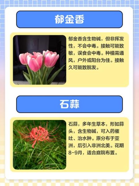 十大致癌花卉有哪些_致癌花卉名单-第1张图片-山城妙识