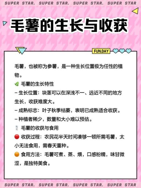 毛薯和甜薯的区别_哪个更营养-第2张图片-山城妙识