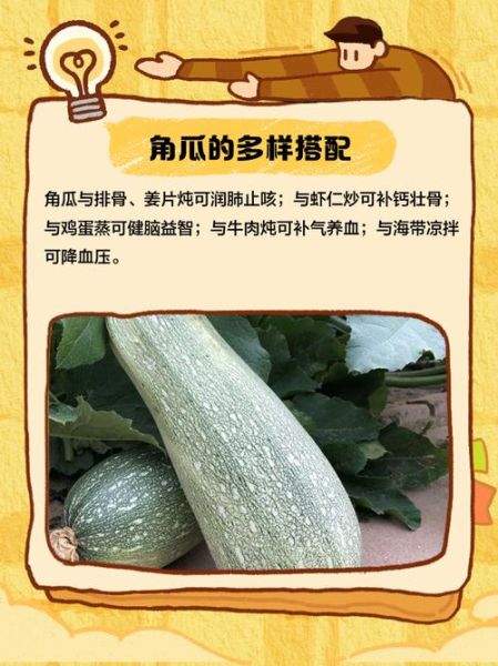 角瓜怎么做好吃_角瓜的营养价值-第3张图片-山城妙识