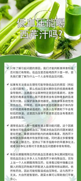 生榨芹菜汁可以天天喝吗_每天喝多少合适-第3张图片-山城妙识