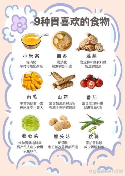 吃什么能养胃治胃病_胃不好一日三餐怎么吃-第3张图片-山城妙识 吃什么能养胃治胃病_胃不好一日三餐怎么吃-第3张图片-山城妙识