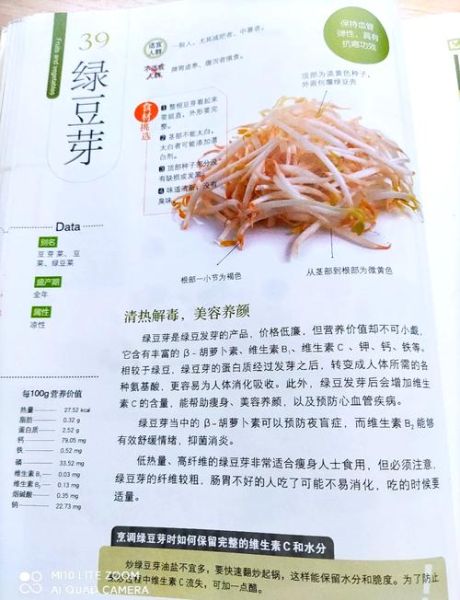 豆芽的功效与作用_哪些人不能吃豆芽-第2张图片-山城妙识