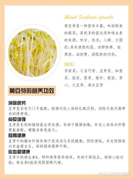 豆芽的功效与作用_哪些人不能吃豆芽-第1张图片-山城妙识
