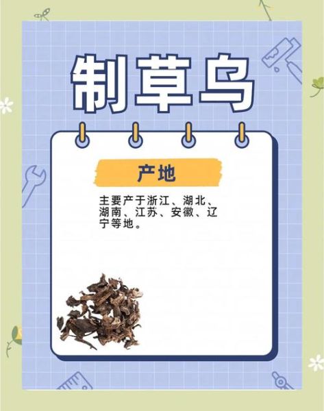 草乌的功效与作用_草乌的毒副作用有哪些-第2张图片-山城妙识