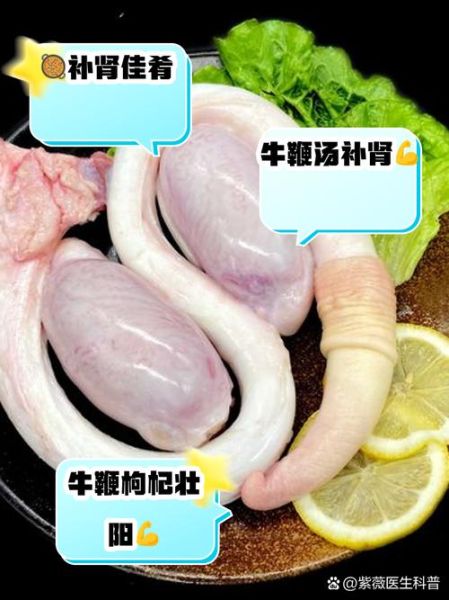 牛鞭是什么东西_牛鞭长在牛哪个部位-第1张图片-山城妙识