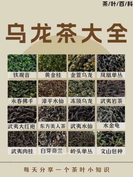 乌龙茶有哪些品种排名_哪种乌龙茶最好喝-第2张图片-山城妙识