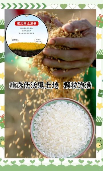 五常大米哪里正宗_五常大米怎么选-第2张图片-山城妙识