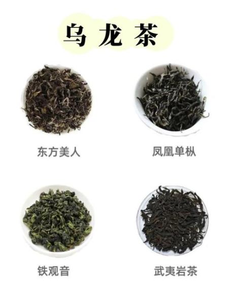 乌龙茶有哪些品种排名_哪种乌龙茶最好喝-第3张图片-山城妙识