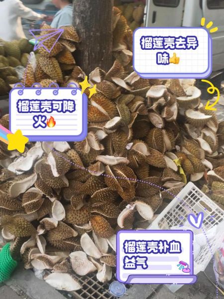 榴莲壳有什么用处_榴莲壳怎么利用-第3张图片-山城妙识