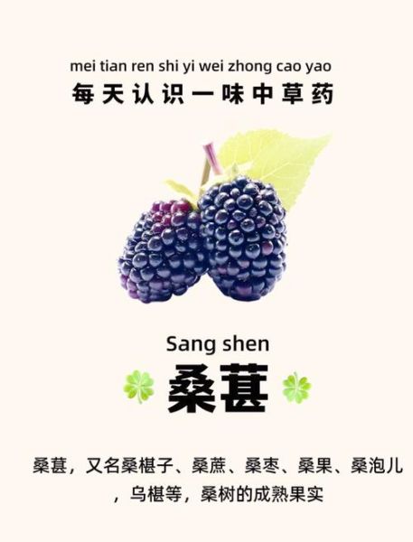 桑树果子的功效与作用_桑树果子怎么吃最养生-第3张图片-山城妙识