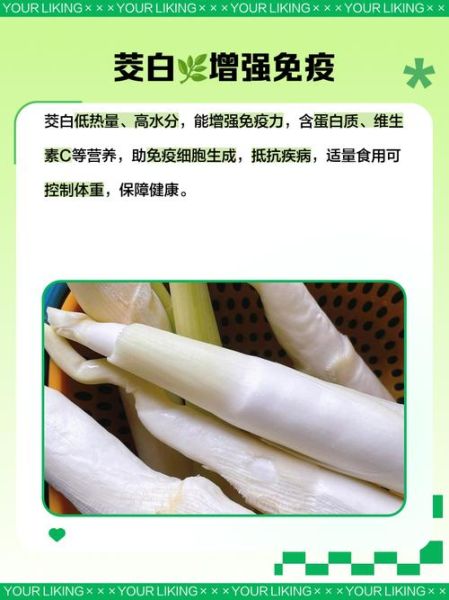 茭白有什么营养价值_茭白热量高吗-第1张图片-山城妙识