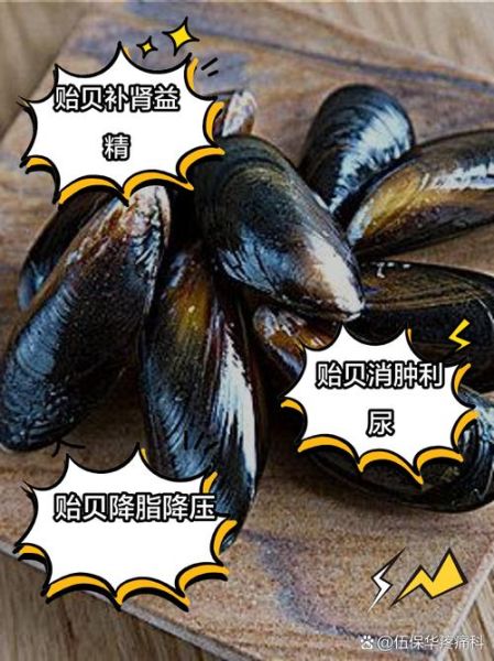 淡菜图片大全大图_淡菜和青口贝有什么区别-第1张图片-山城妙识
