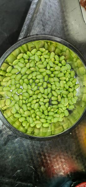 青豆煮多久能熟_青豆煮几分钟才软-第1张图片-山城妙识